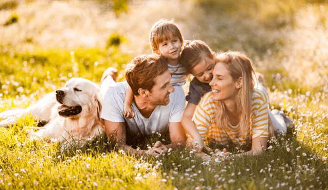 Puainta-Safe, Scientific And Reliable Pet Medicine Brand